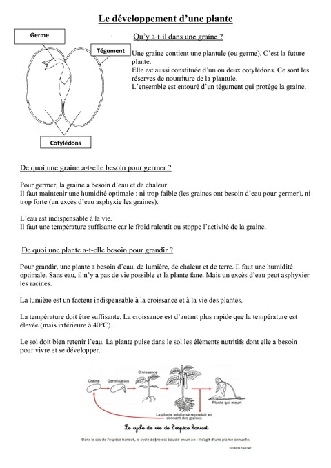 Développement d'une plante – Leçon – Ce2 - Cm1 – Sciences – Cycle 3 ...