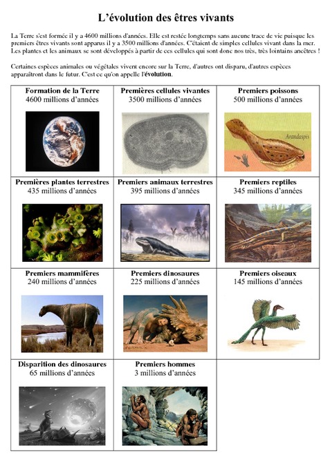 Evolution des premiers êtres vivants – Exercices - Cm2 – Sciences ...