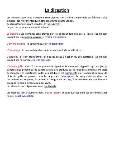 Digestion - Leçon - Ce2 - Cm1 - Sciences - Cycle 3 - Pass Education