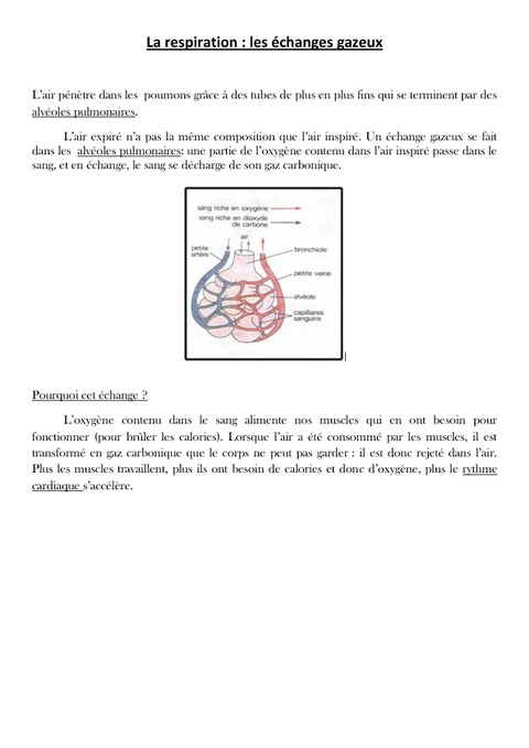 La respiration- les échanges gazeux - Leçon - Cm1 - Cm2 - Sciences ...