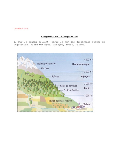 Etagement de la végétation - Ce2 - Cm1 - Exercices - Pass Education