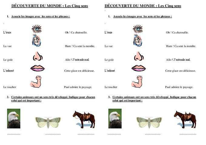 5 sens - Ce1 - Evaluation - Pass Education