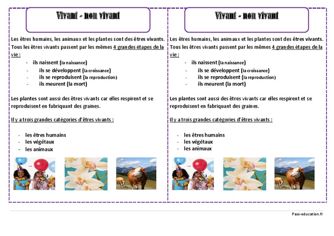 Vivant - Non vivant – Ce1 – Leçon - Pass Education