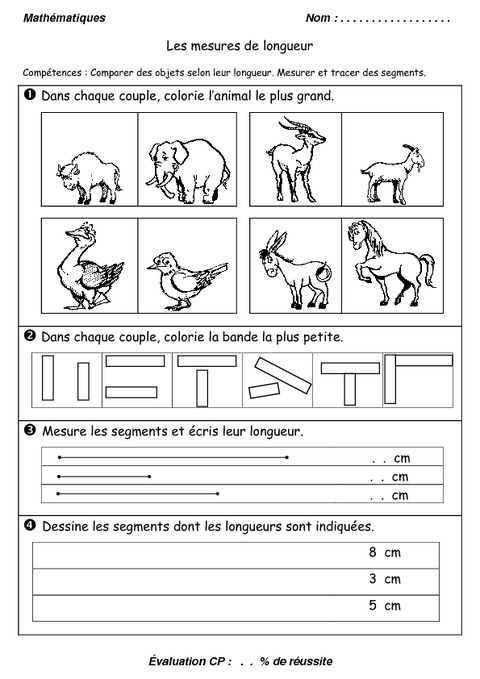 Longueur – Cp – Evaluation - Pass Education