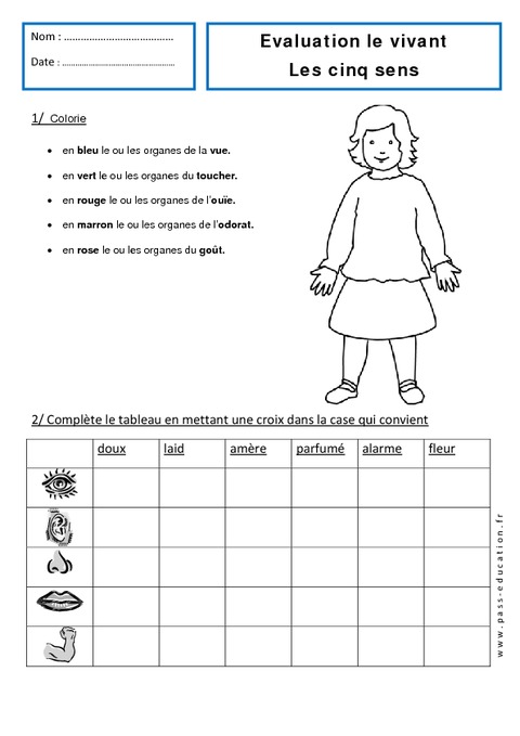 5 sens – Cp – Evaluation - Pass Education