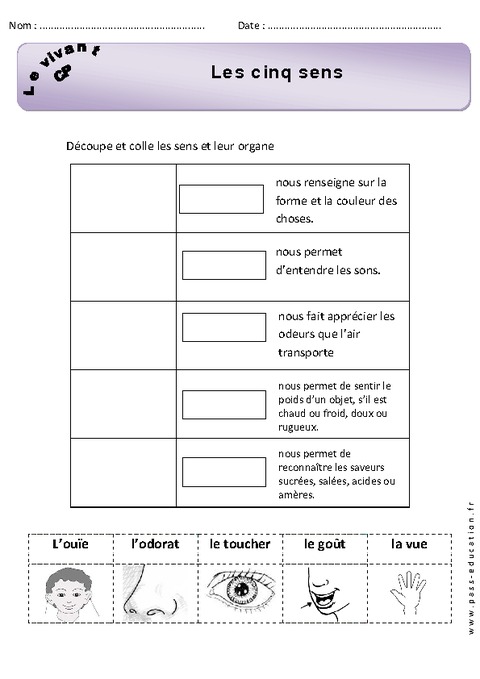 5 sens – Cp – Trace écrite -– Découverte du monde – Leçon – Cycle 2 ...