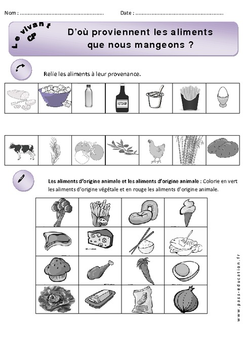 Aliments que nous mangeons - Cp – Exercices -– Découverte du monde ...
