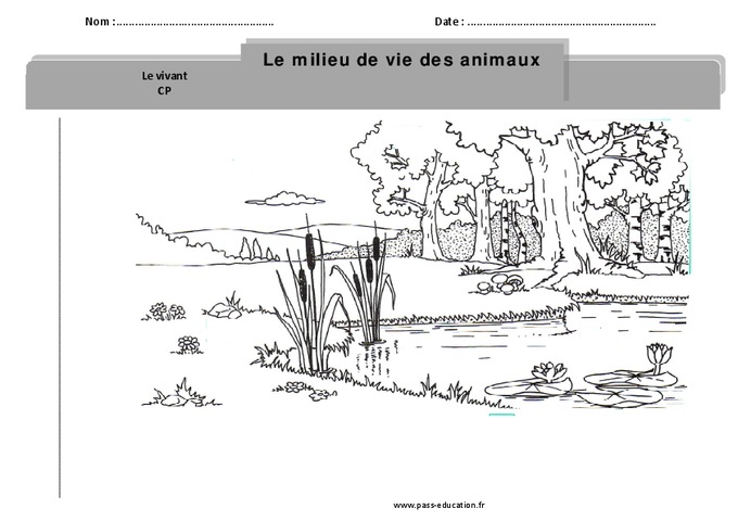 Milieu de vie des animaux – Cp – Exercices -– Découverte du monde ...