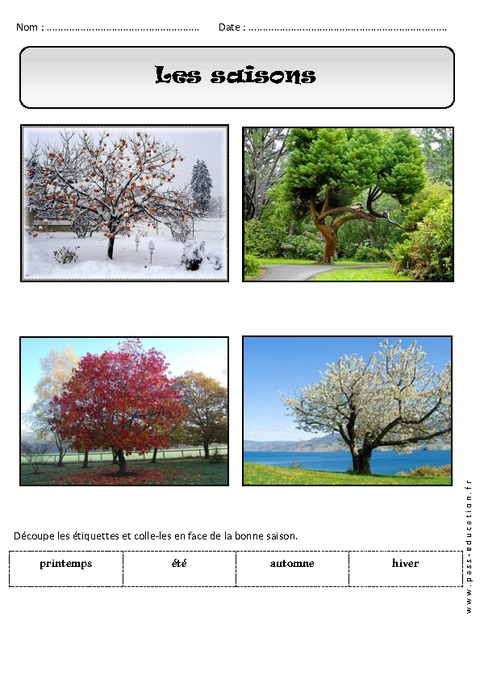 Saisons – Cp – Exercices – Espace – Cycle 2 - Pass Education