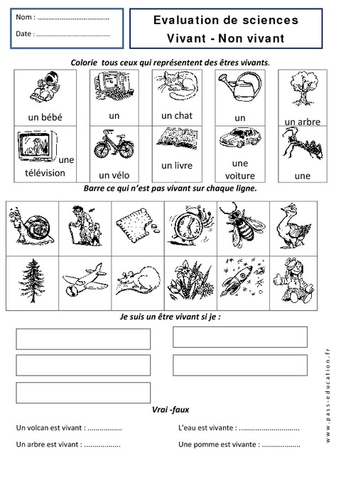 Vivant - Non vivant - Cp - Evaluation - Pass Education