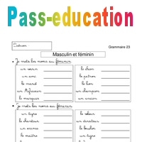 Genre masculin - Genre féminin - Ce2 - Exercices corrigés - Pass Education