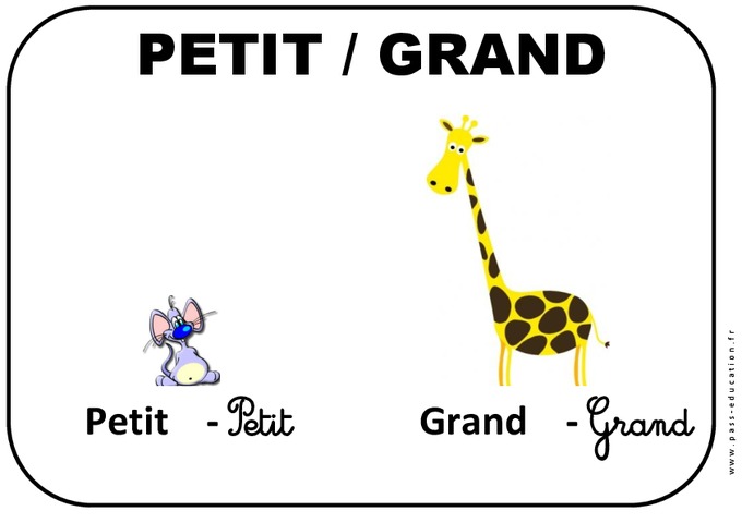 Petit - Grand – Affichages pour la classe – Maternelle – PS – MS – GS ...