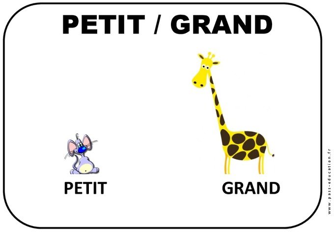 Petit - Grand – Affichages pour la classe – Maternelle – PS – MS – GS ...