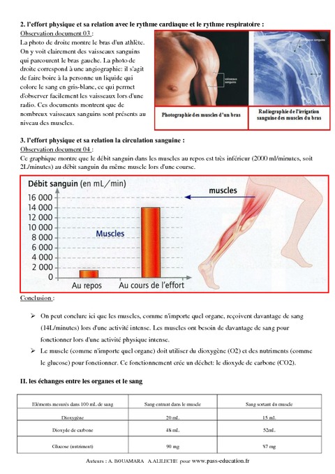 Besoins des organes pour fonctionner – 5ème – Cours – SVT - Pass Education Besoins des organes pour fonctionner – 5ème – Cours – SVT - Pass Education