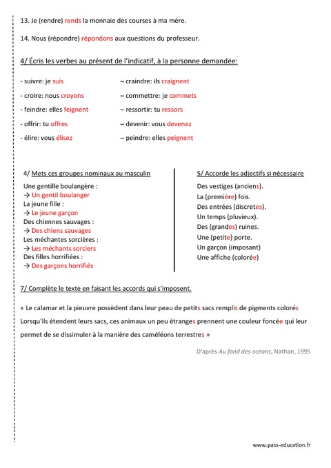 Verbes au présent de l’indicatif - Accord dans le groupe nominal ...