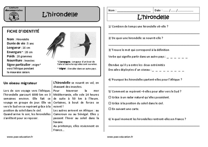 L'hirondelle – Ce1 – Lecture documentaire – Cycle 2 - Pass Education