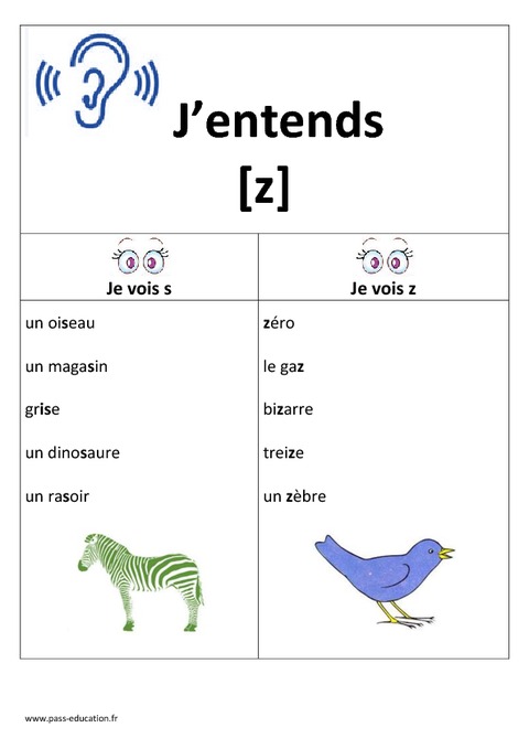 Le son "Z" et ses graphies | Éducation, Apprendre le français ...