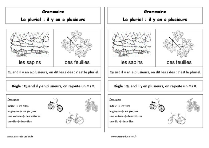 Pluriel - Cp - Leçon - Pass Education