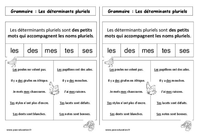 Déterminants pluriels - Cp - Leçon - Pass Education