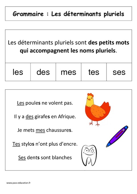 Les déterminants pluriels – Affiche pour la classe – Cp – Grammaire ...