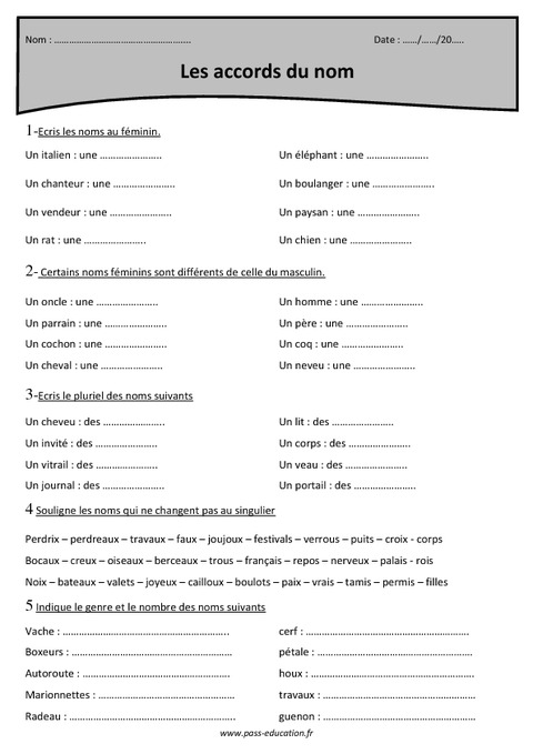 Accords du nom - Cm1 - Exercices à imprimer - Pass Education