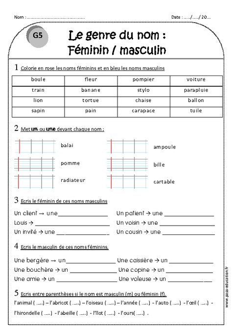 Genre du nom - Féminin et masculin - Ce1 - Exercices à imprimer - Pass ...