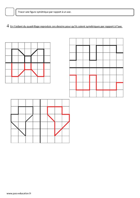 Symétrie - Ce2 - Evaluation - Pass Education