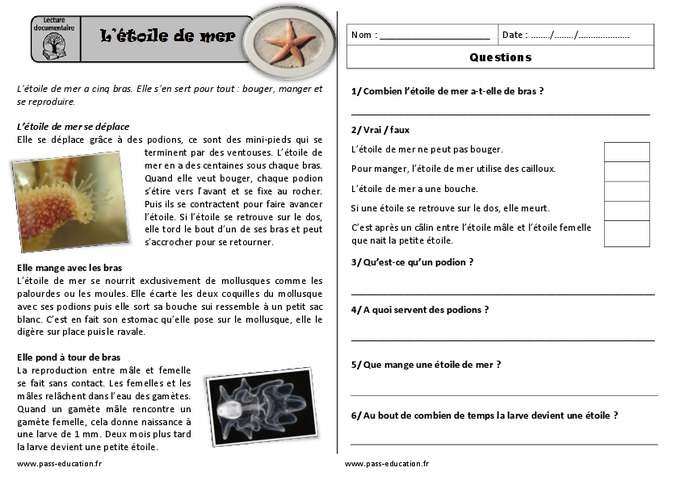 Etoile de mer - Ce1 - Lecture compréhension - Pass Education