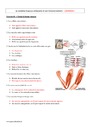 Fonctionnement du système musculo-articulaire - 2nde - Exercices corrigés - Pass Education