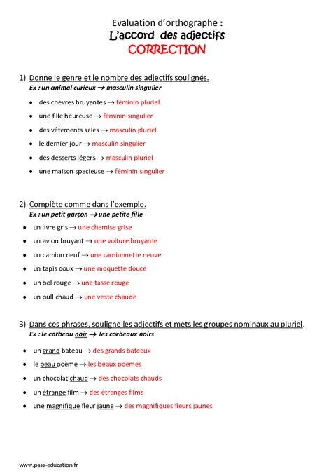 Accord des adjectifs - Ce2 - Bilan avec le corrigé - Pass Education