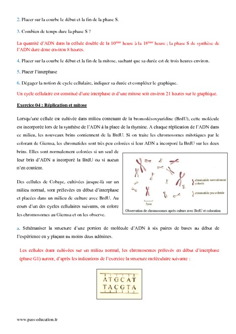 Reproduction conforme de la cellule et réplication de l’ADN - 1ère S - Exercices corrigés - Pass ...