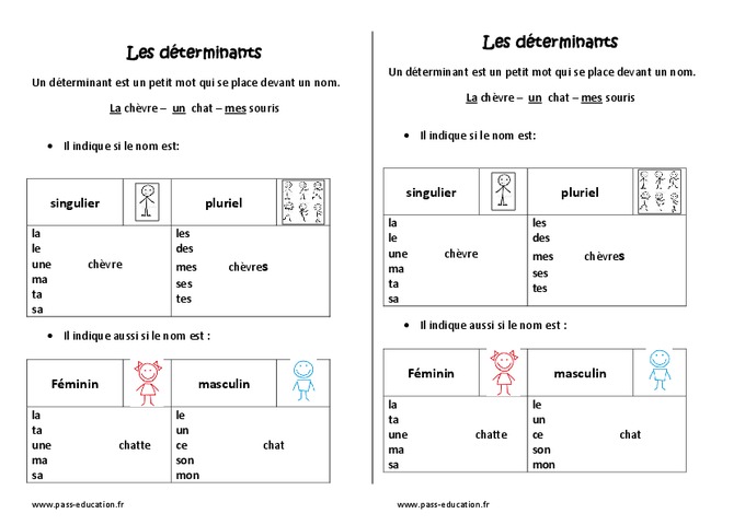 Déterminants - Ce1 - Leçon - Singulier - Pluriel et Féminin - Masculin ...