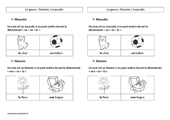 Genre des noms - Ce2 - Leçon de grammaire - Pass Education