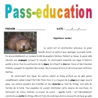 Le castor - Lecture - Texte informatif - Documentaire : 4eme, 5eme ...