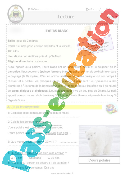 L'ours polaire - Documentaire – CE1 – CE2 – Lecture – EDL - Pass Education