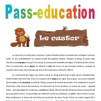 Le castor - Cm1 - Cm2 - Lecture - Texte informatif - Documentaire ...