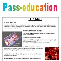 Qu'est-ce que le sang - Exercices - Cm2 - Sciences - Cycle 3 - PDF à ...