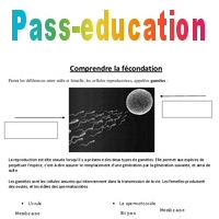 Comprendre la fécondation - Exercices - Cm1 - Cm2 - Sciences - Cycle 3 ...