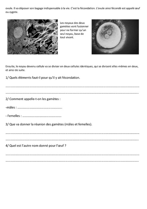 Comprendre la fécondation - Exercices - Cm1 - Cm2 - Sciences - Cycle 3 ...