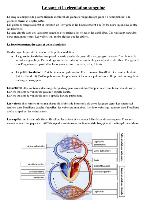Le sang et la circulation sanguine - Leçon - Cm2 - Sciences - Cycle 3 ...