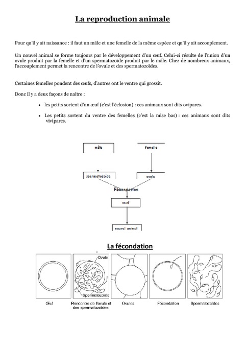 Reproduction animale - Exercices - Cm1 - Cm2 - Sciences - Cycle 3 ...