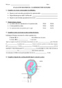 Reproduction humaine - Cm2 - Evaluation - Pass Education