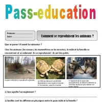 Reproduction des animaux – Ce1 – Monde animal – Exercices – Découverte ...
