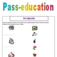 Les 5 sens - Ce1 - Corps humain - Exercices - Sciences - Cycle 2 - PDF ...