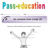 Je connais mon corps – Cp – Exercices 2 -– Découverte du monde – Cycle ...