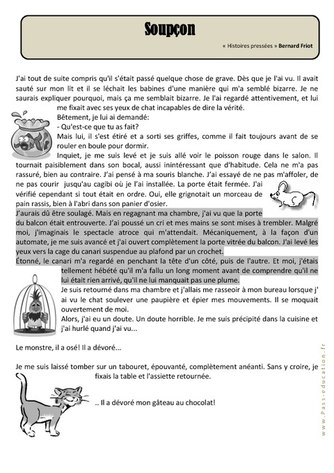 Soupçon – Cm1 – Cm2 – Récit – Lecture – Cycle 3 - Pass Education