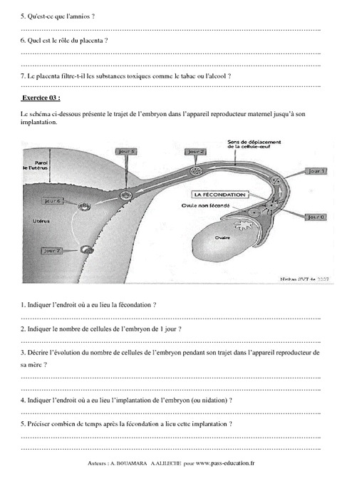 Devoir Maison Svt 4Eme – Ventana Blog