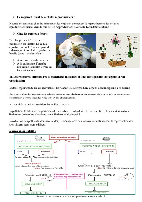 Reproduction sexuée des êtres vivants – 4ème – Cours – SVT - Pass Education