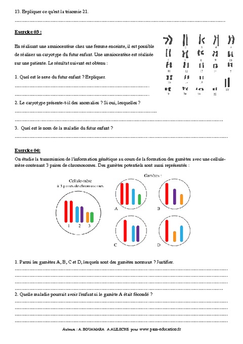 Devoir Commun De Svt Seconde – Exercices de révision – EMVQOE