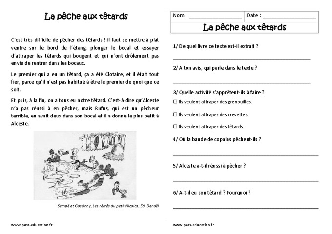 évaluation Lecture Compréhension Ce1 Texte Et Questions Pdf | Chtoby ...